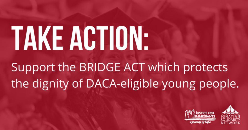 Bridge Act | The Viatorian Community